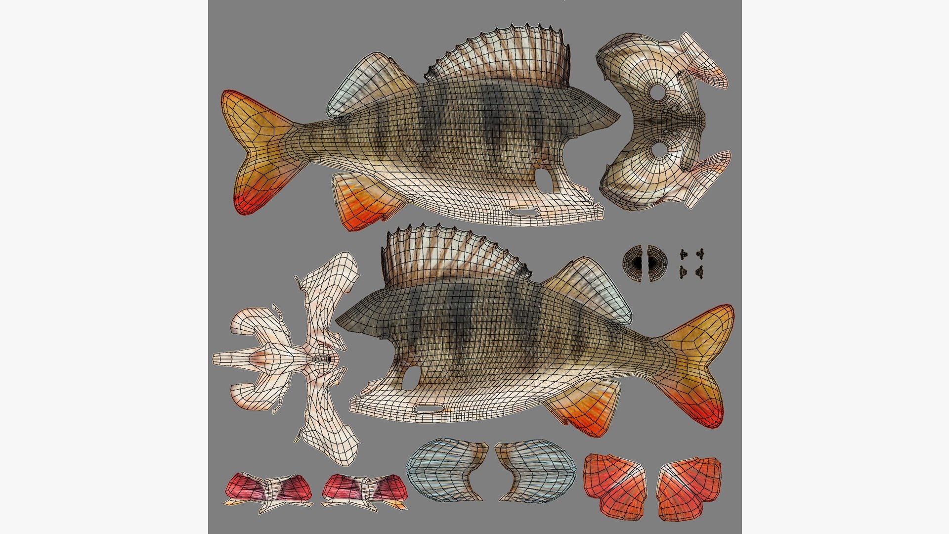 European Perch 3D model - TurboSquid 2095396
