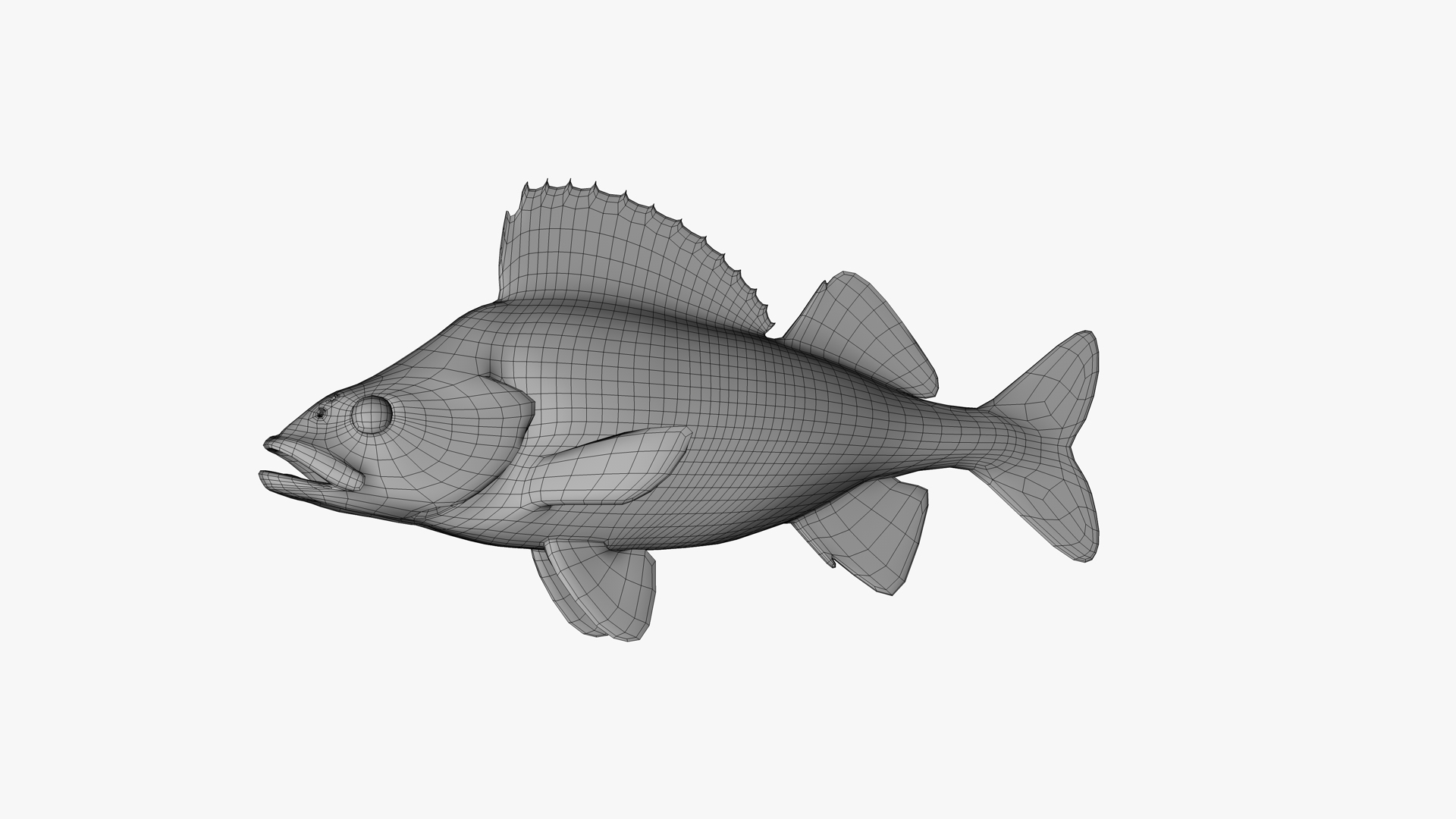 European Perch 3D model - TurboSquid 2095396