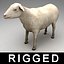 3dsmax Rigged Sheep