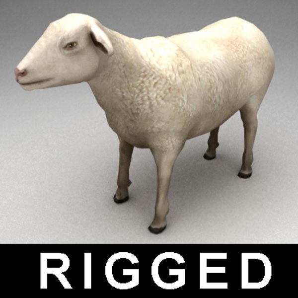 3d model rigged goat