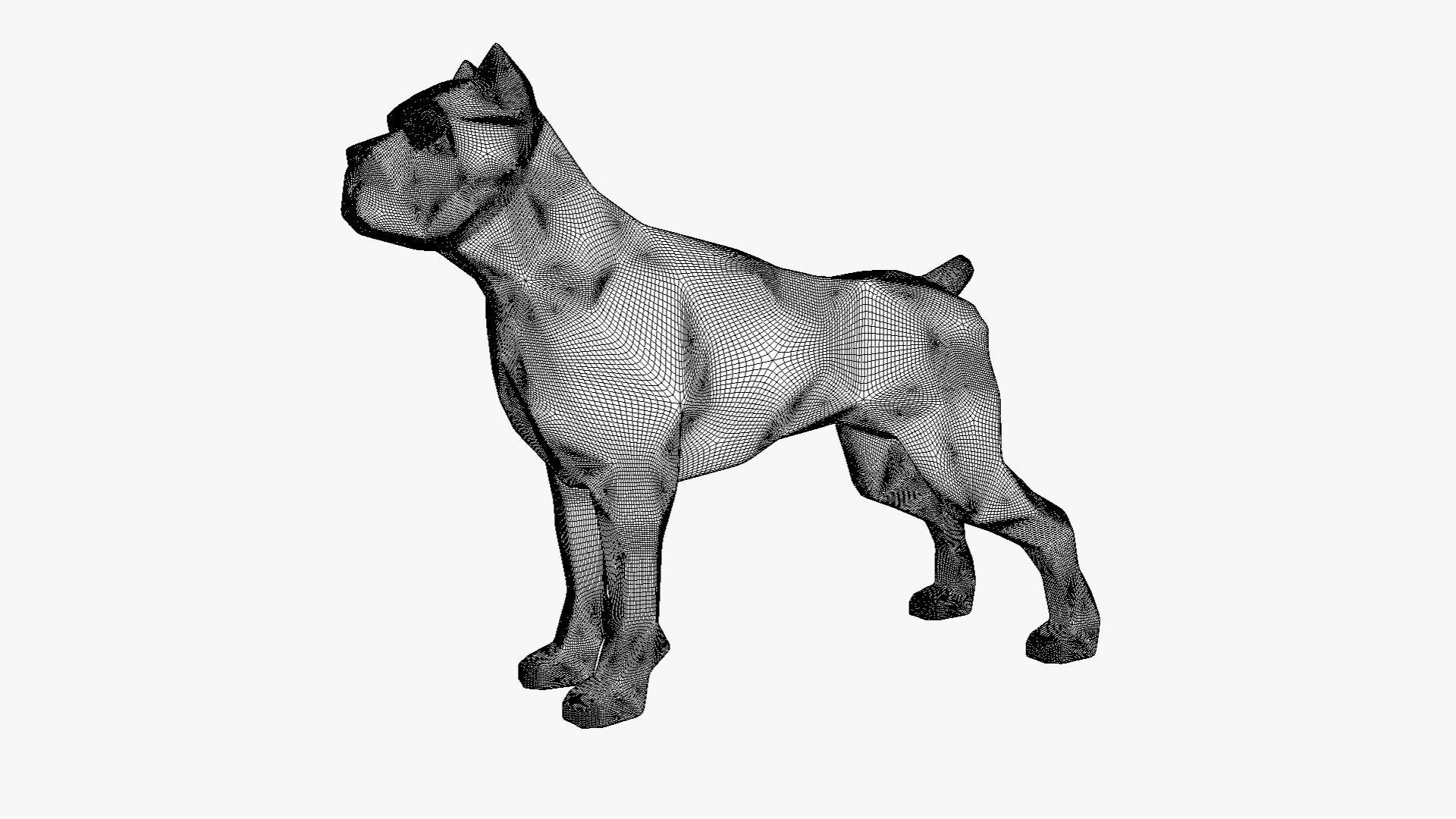 3D Cane Corso Dog - TurboSquid 2034842