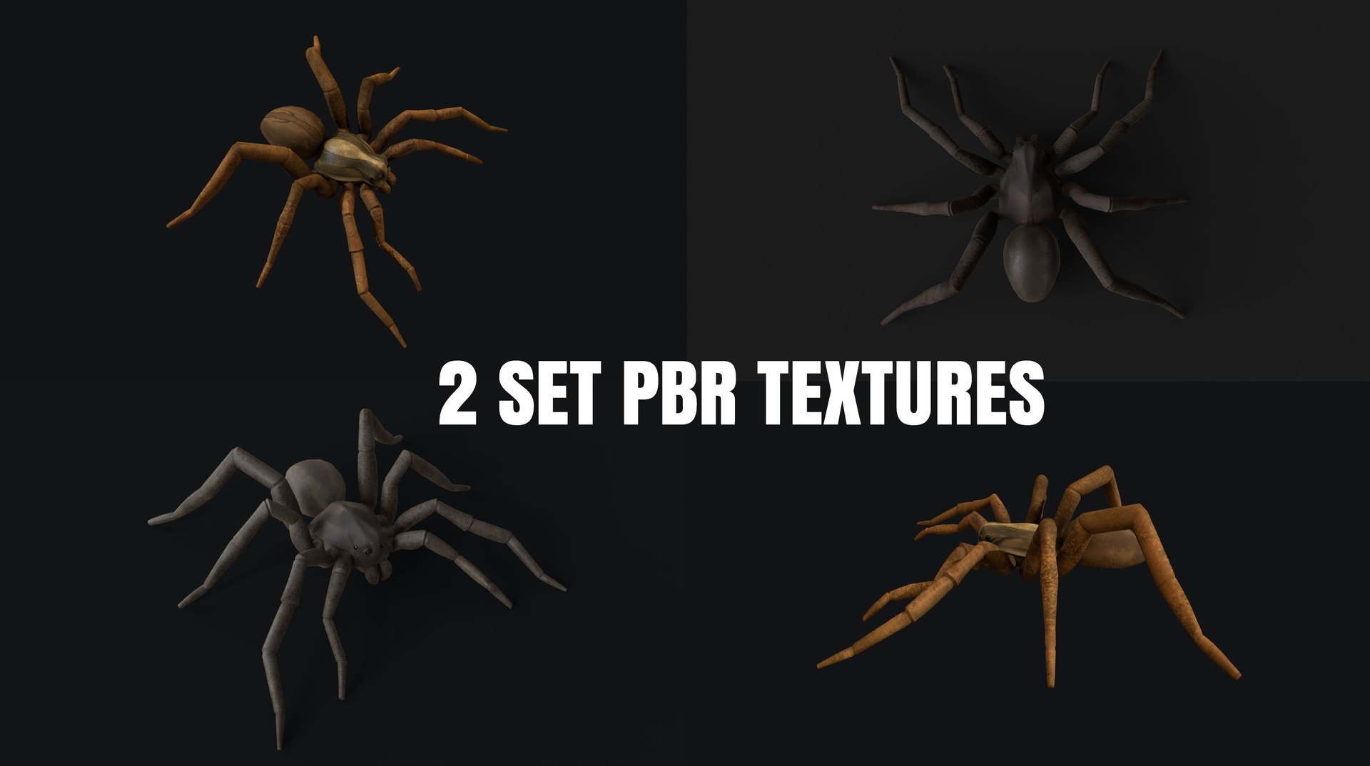 3D model Wolf Spider - TurboSquid 1792024