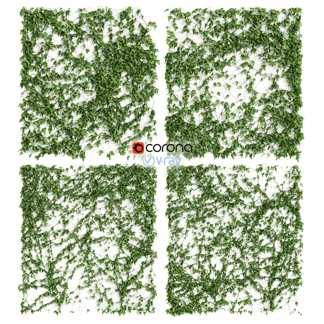 Set 4 Ivy Walls 3d Max