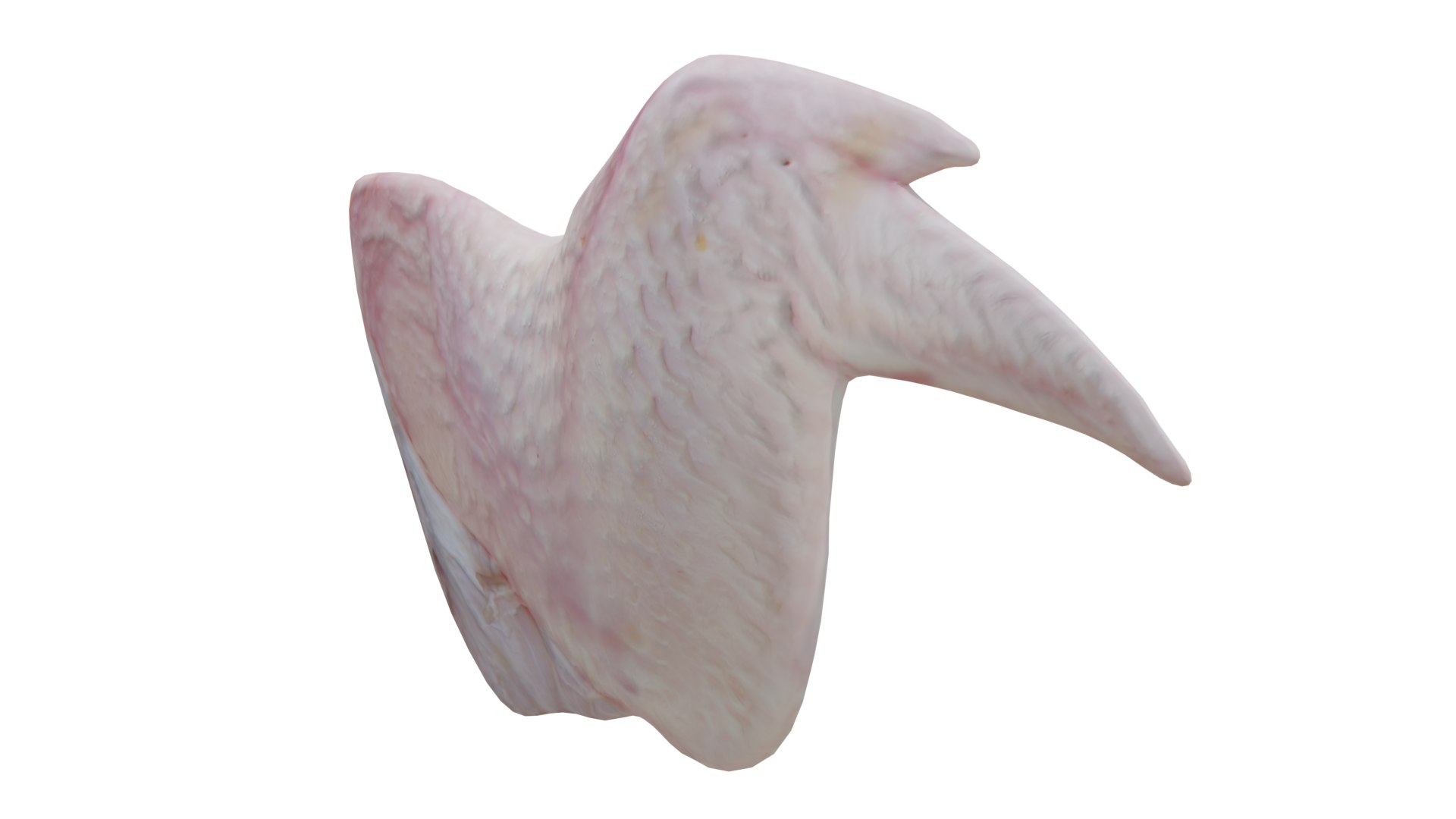 3D Wing Model - TurboSquid 1954749