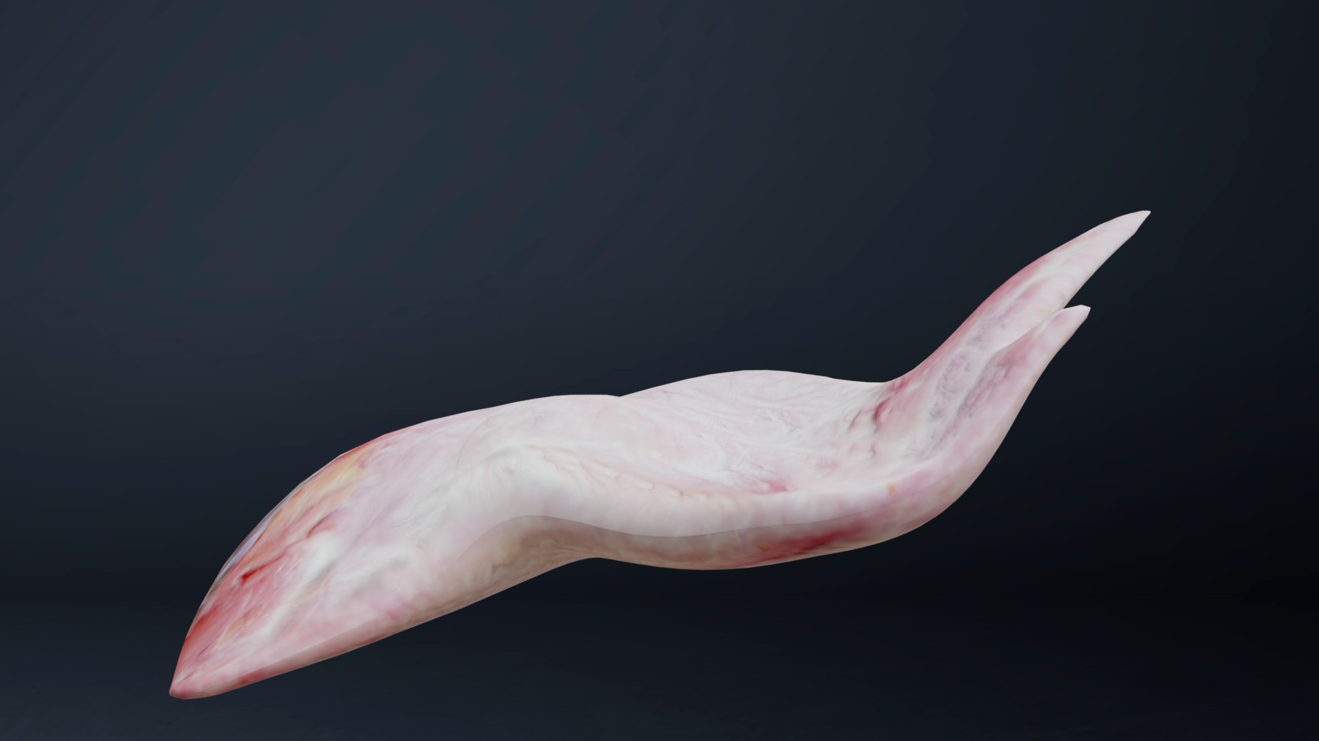 3D Wing Model - TurboSquid 1954749