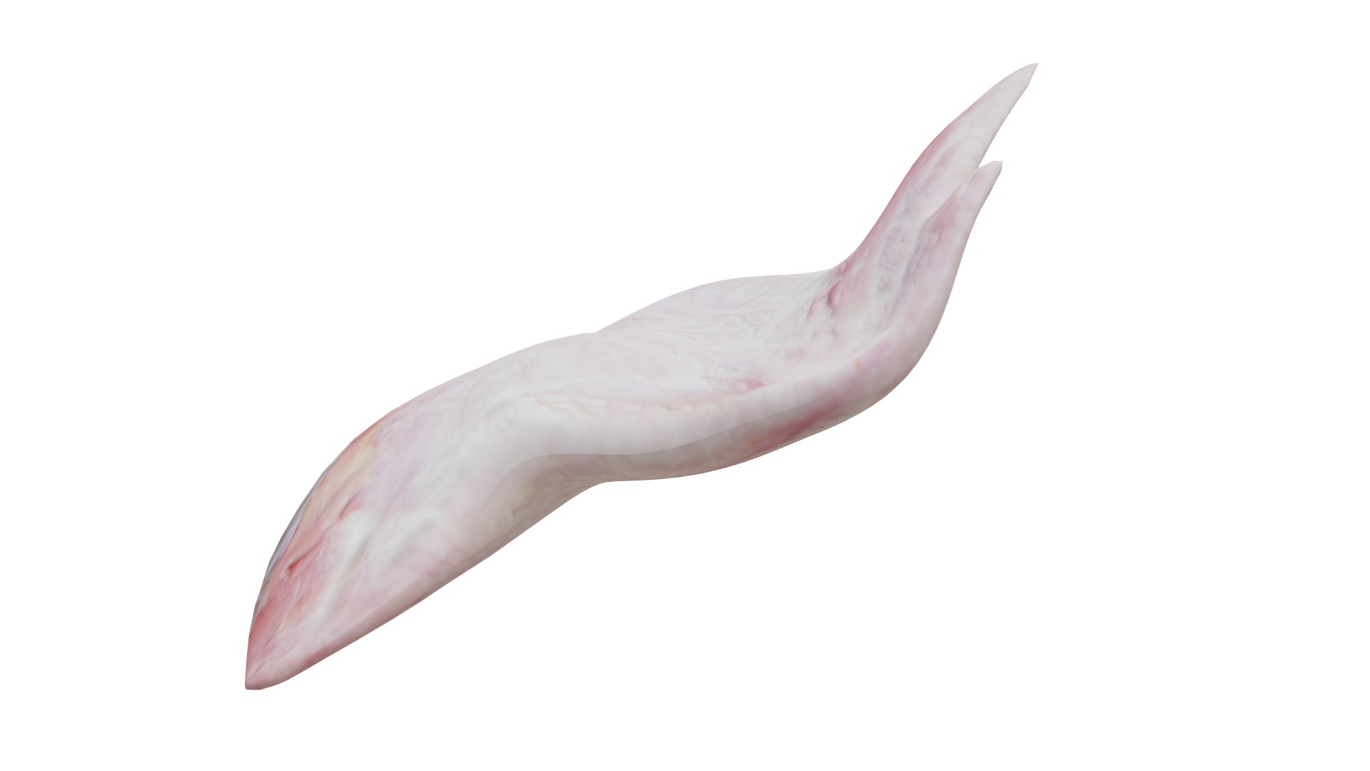 3D Wing Model - TurboSquid 1954749