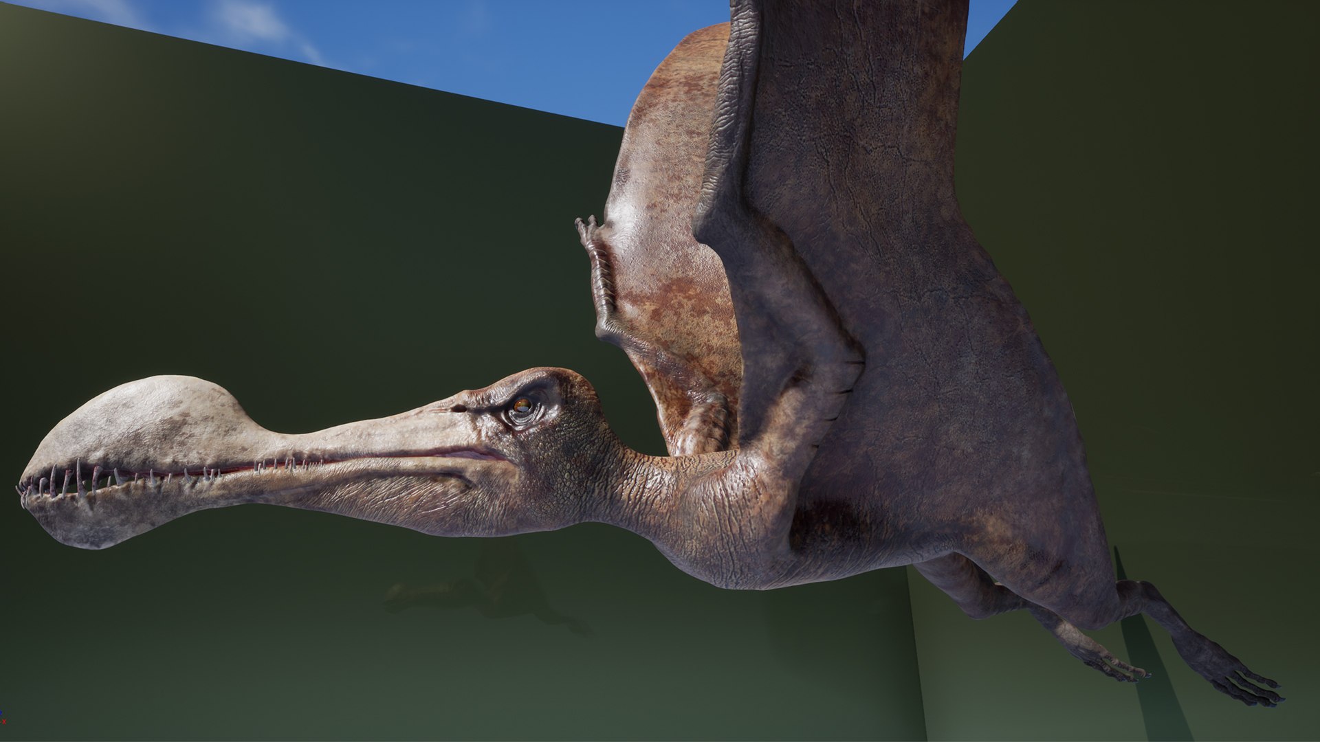 Tropeognathus Model - TurboSquid 1850318