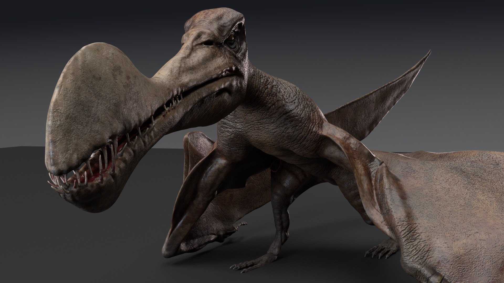 Tropeognathus Model - TurboSquid 1850318