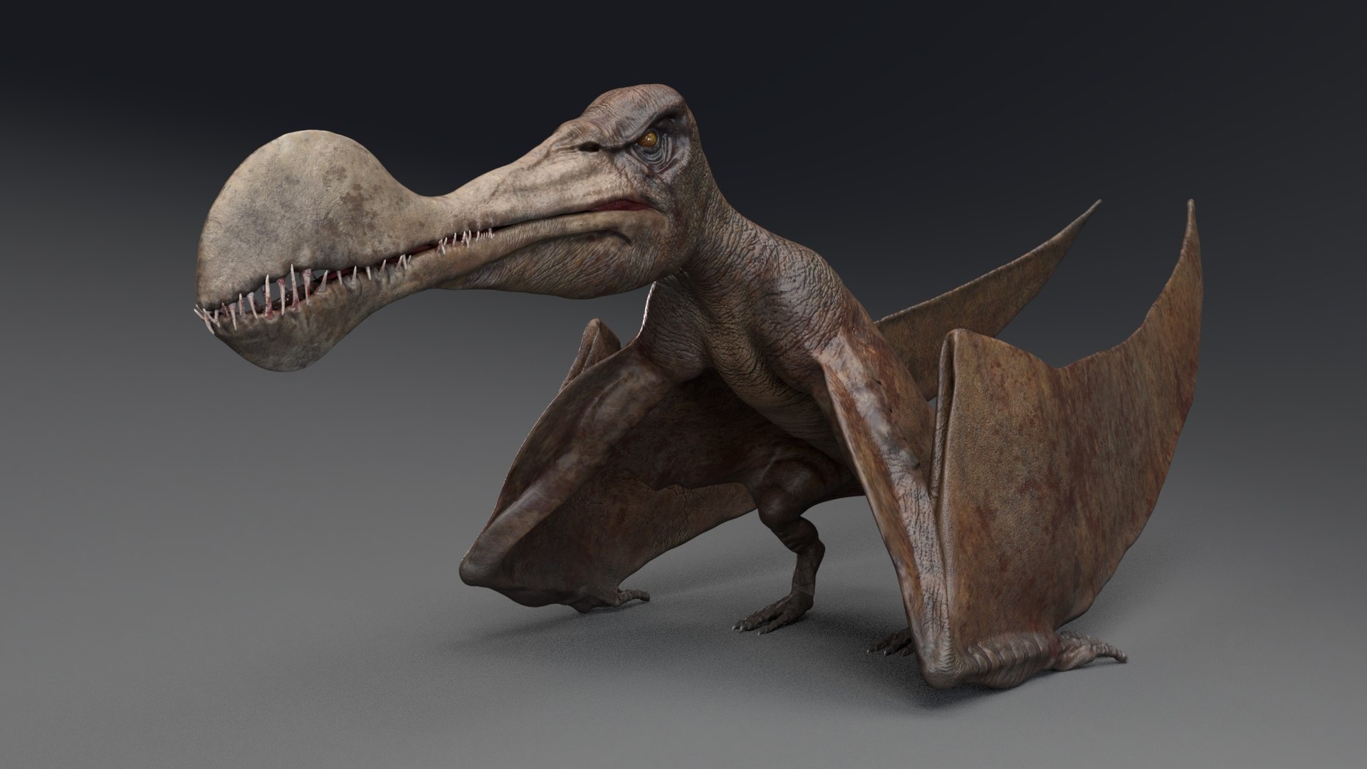 Tropeognathus Model - TurboSquid 1850318