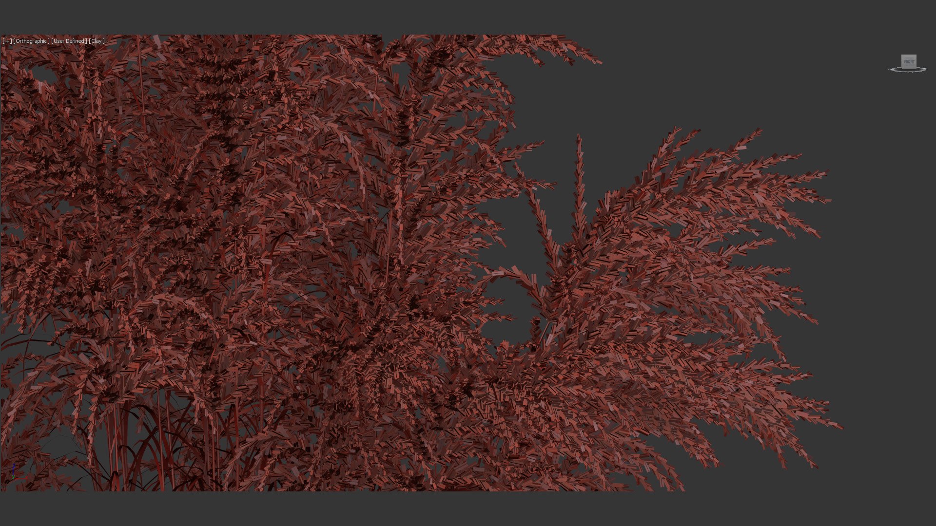 3D Miscanthus Sacchariflorus Amur Silver Grass 3D Model 02 - TurboSquid ...