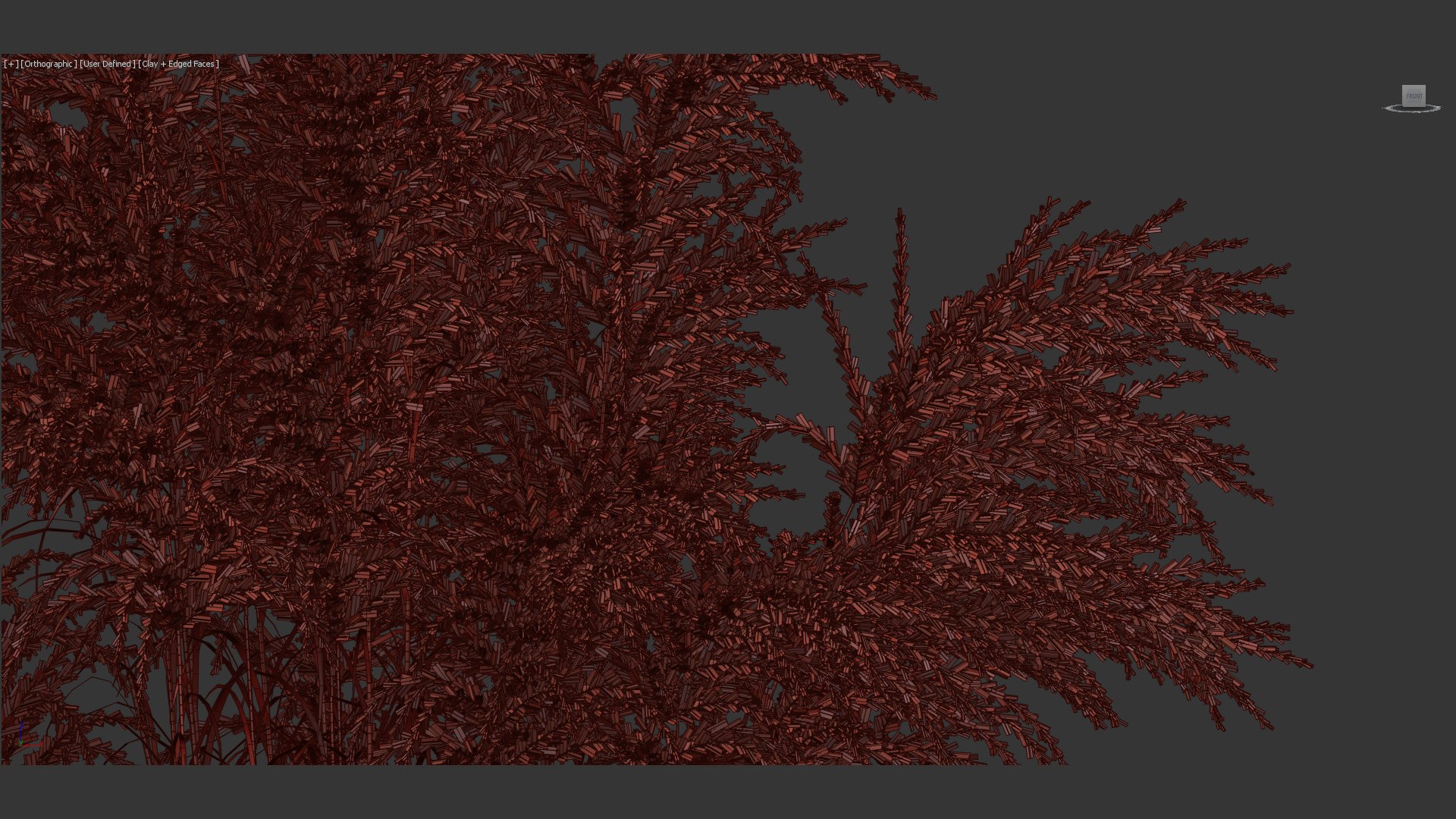 3D Miscanthus Sacchariflorus Amur Silver Grass 3D Model 02 - TurboSquid ...