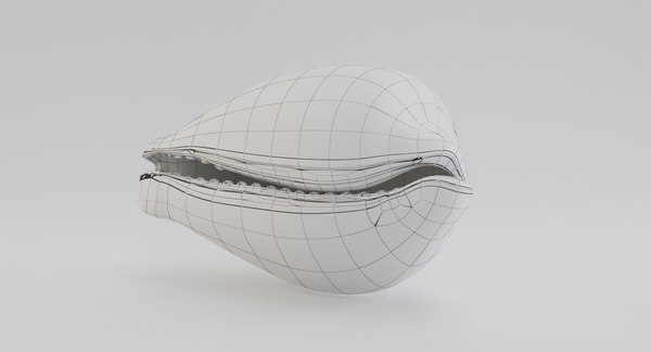 3d model sea shell seashell