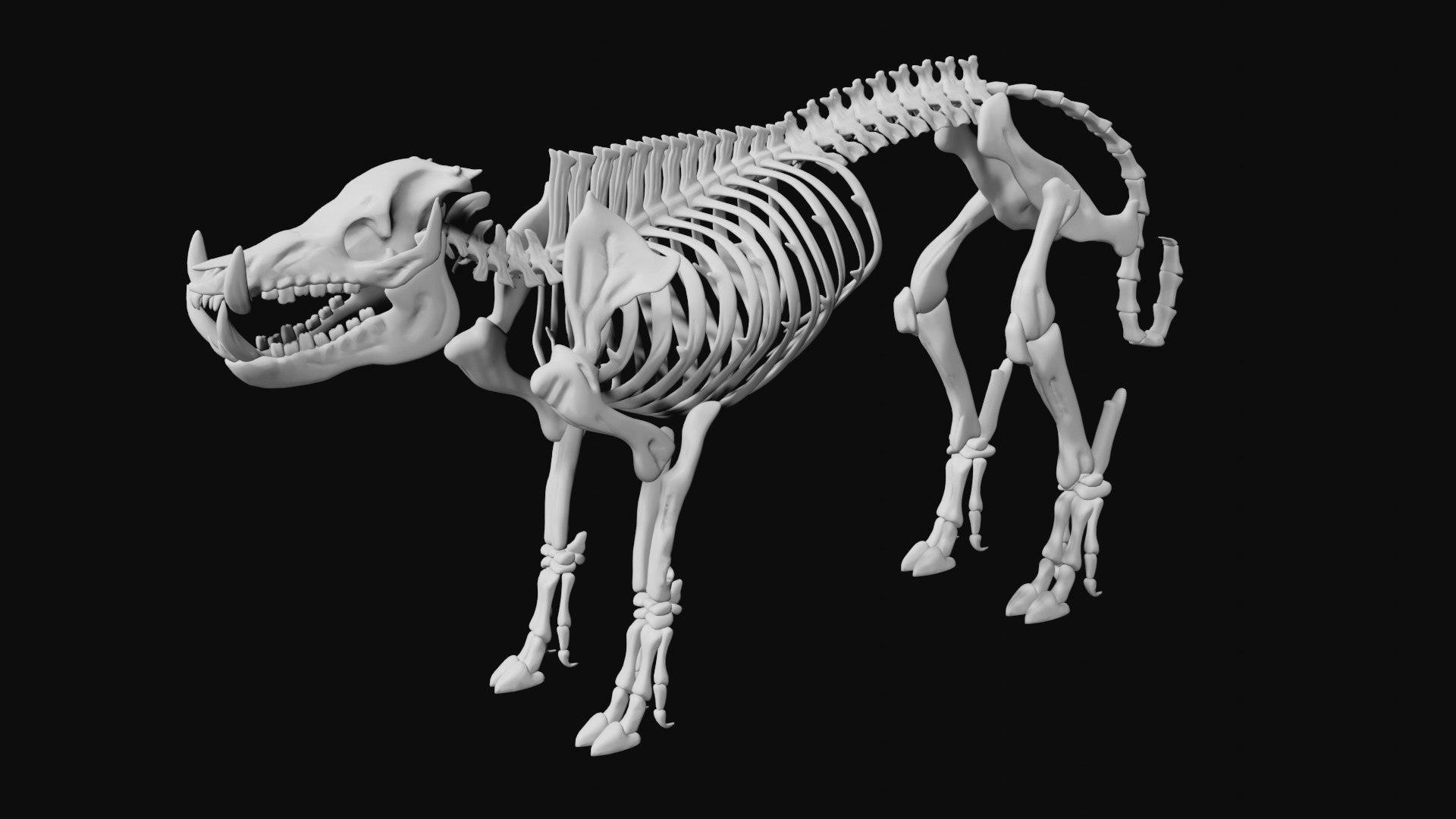 Rigged Boar Skeleton 3D Model - TurboSquid 1841040