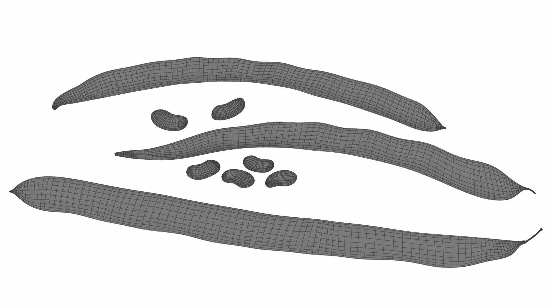 Green Beans Model - TurboSquid 1544316