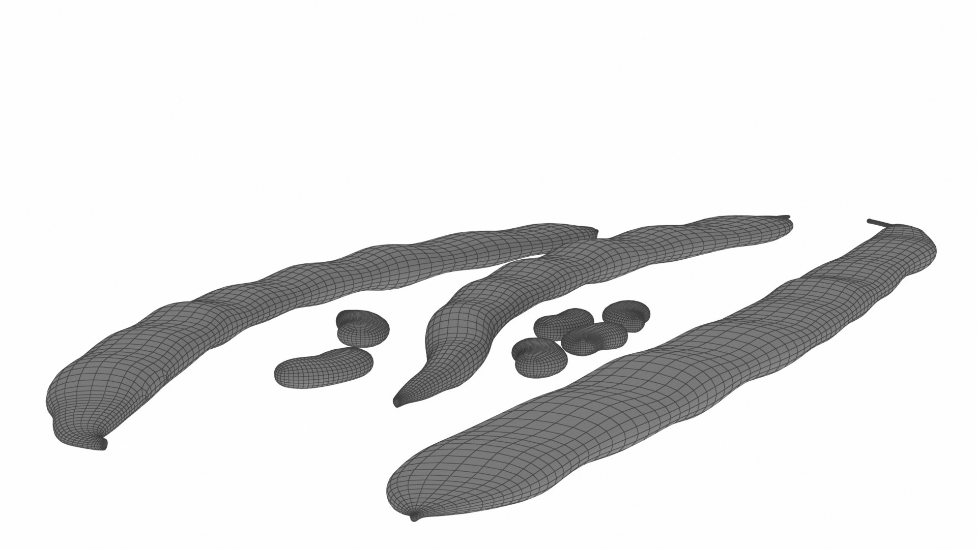 Green Beans Model - TurboSquid 1544316