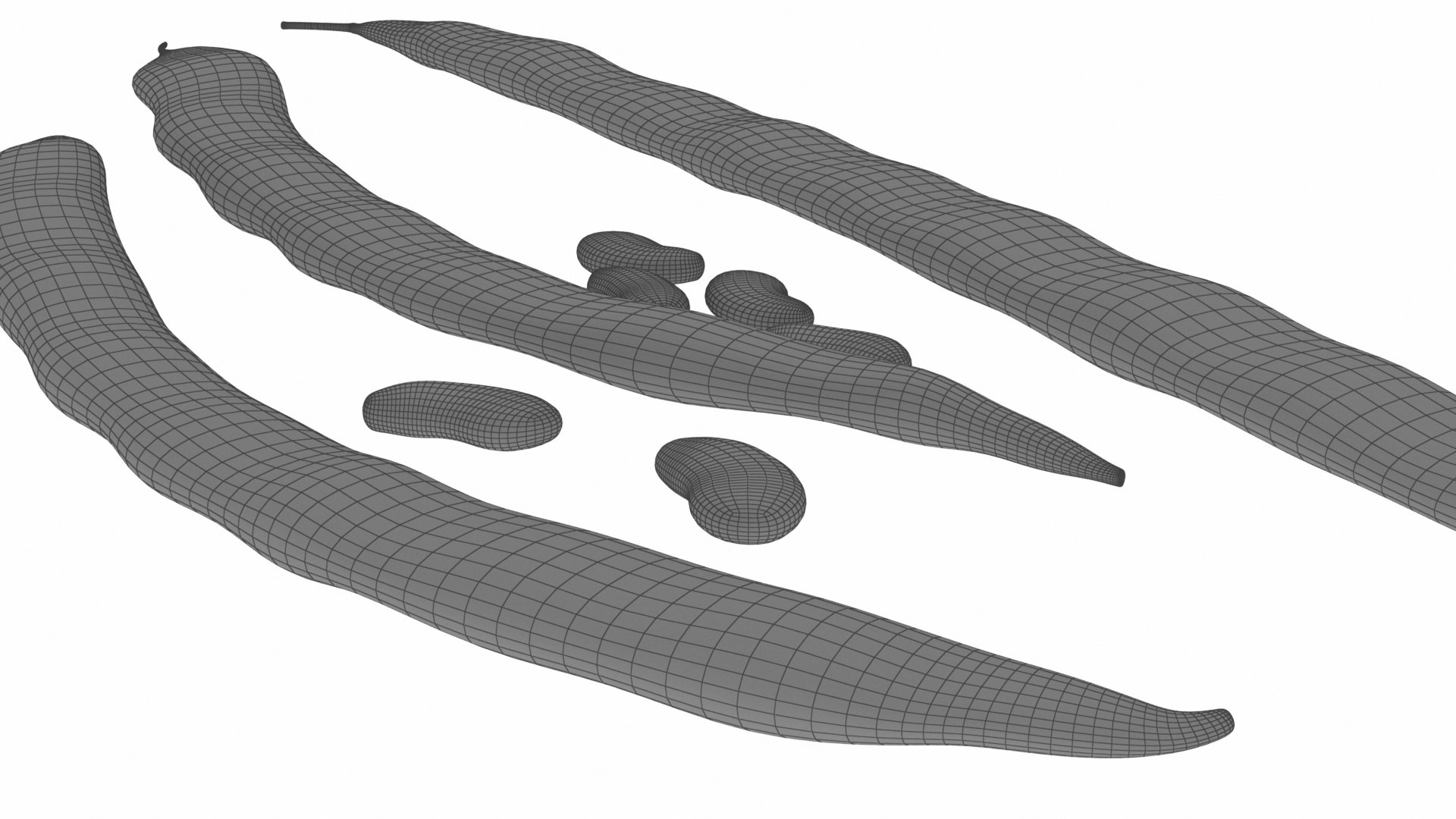 Green Beans Model - TurboSquid 1544316