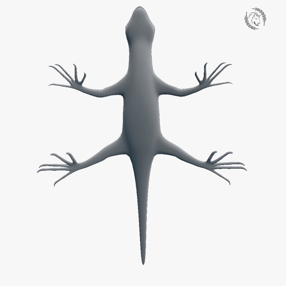 Gekko Lizard Model - TurboSquid 1204876
