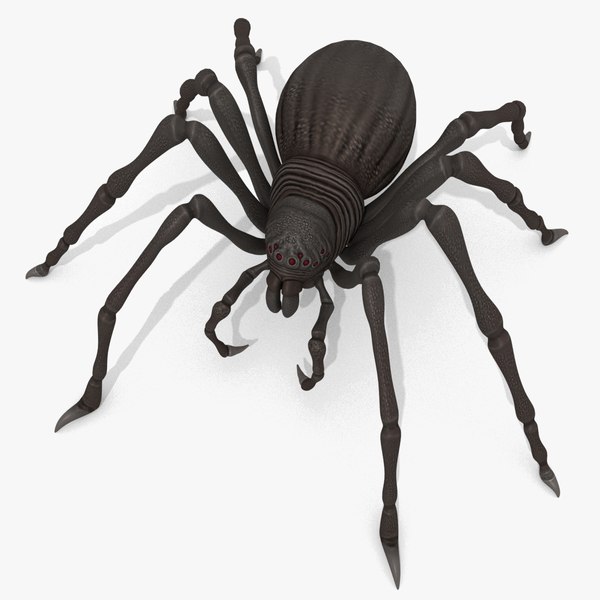 Cartoon Spider 3D Models for Download | TurboSquid