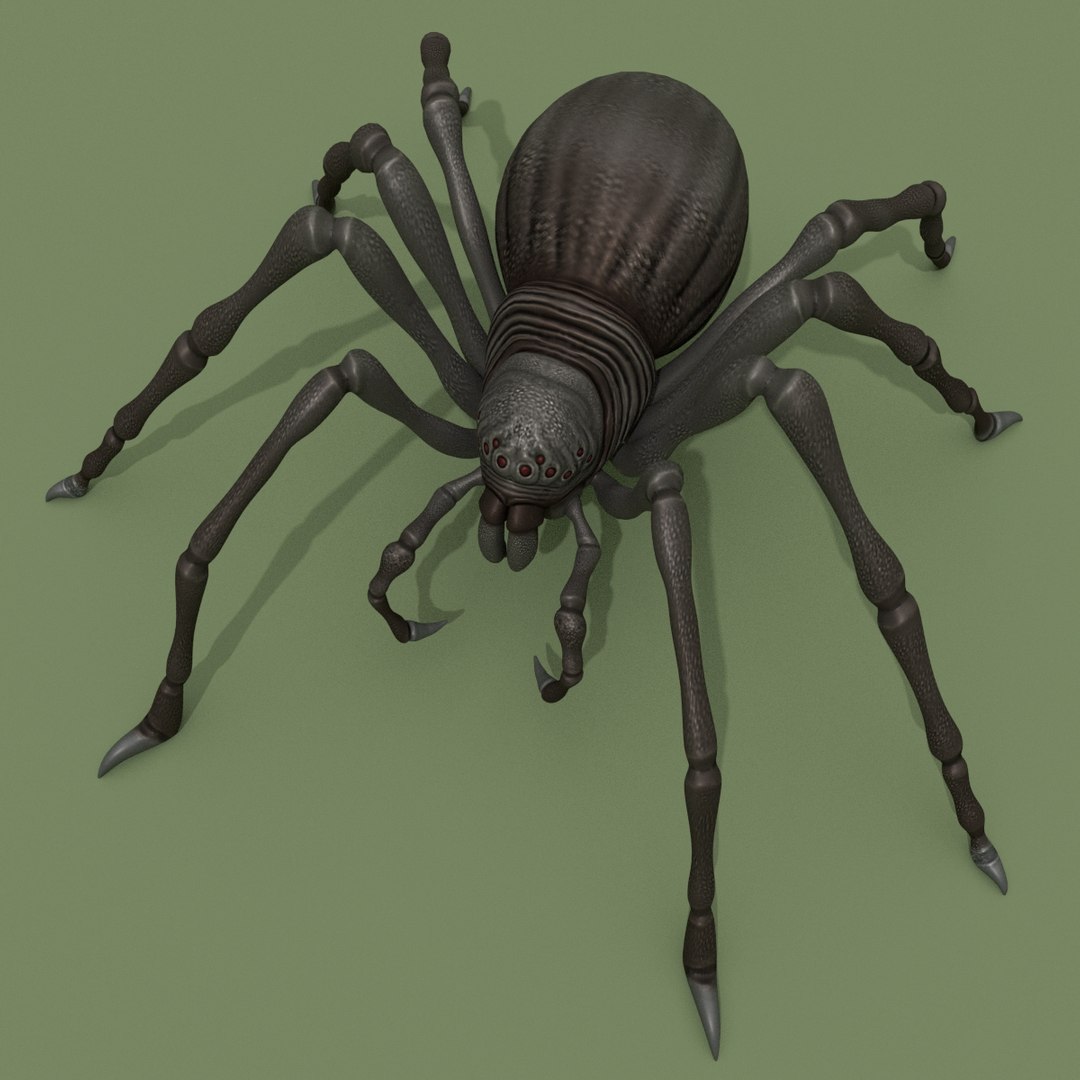 Fantasy Spider 3D - TurboSquid 1176678