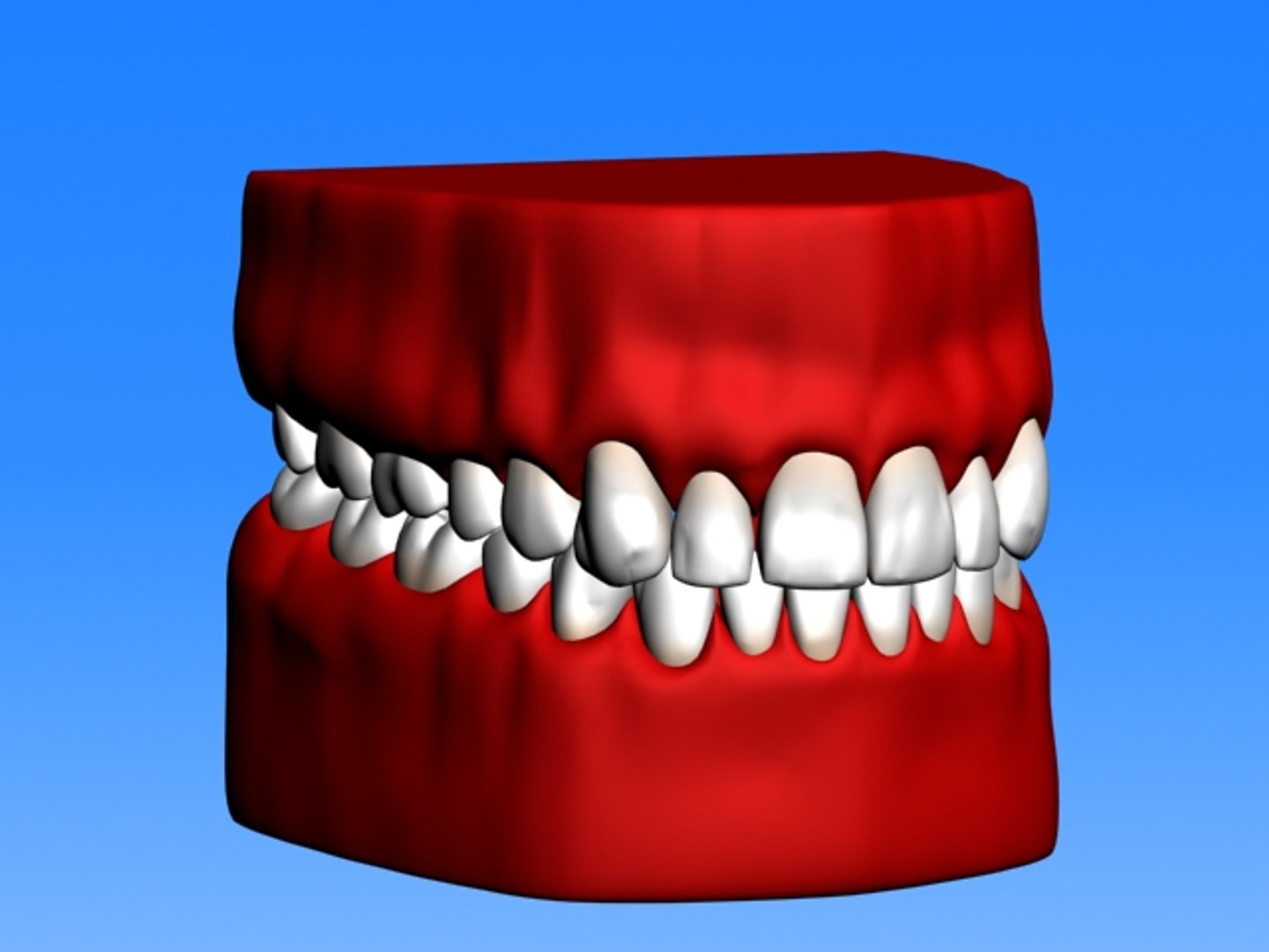 Human Teeth Gums Max