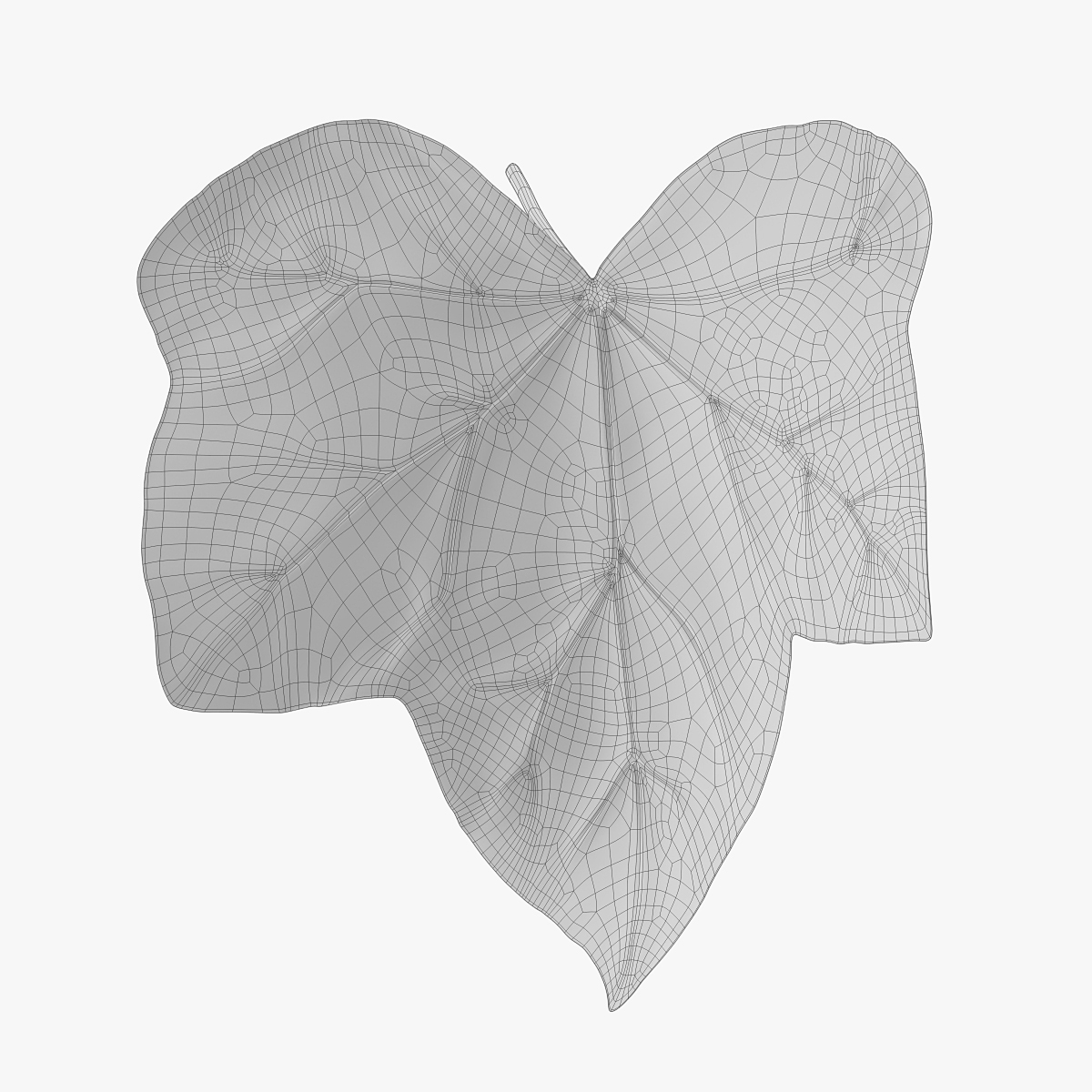 3D model ivy leaf - TurboSquid 1305750