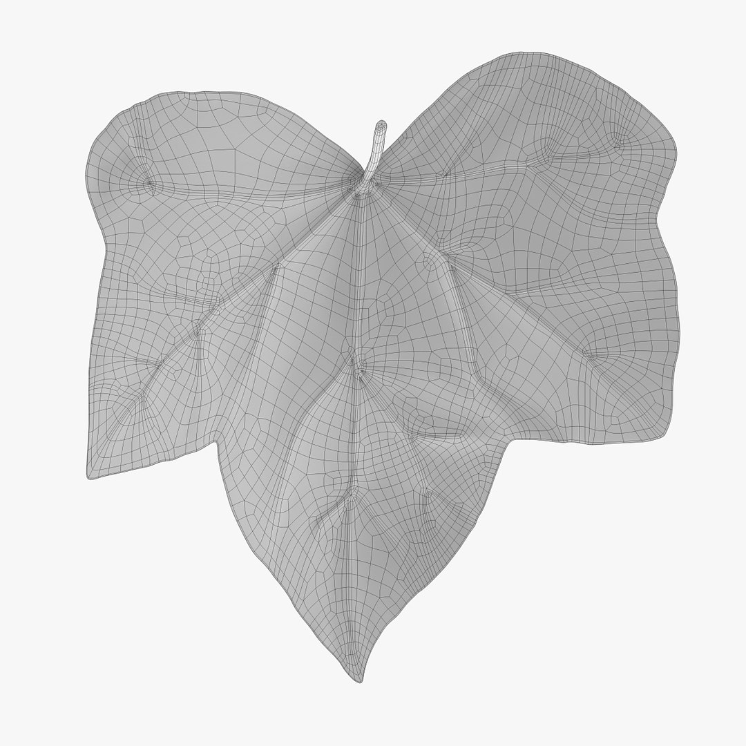 3D Model Ivy Leaf - TurboSquid 1305750