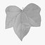 3D Model Ivy Leaf - TurboSquid 1305750