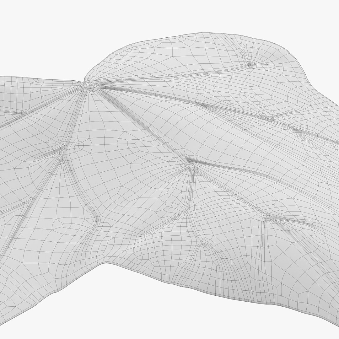 3D Model Ivy Leaf - TurboSquid 1305750