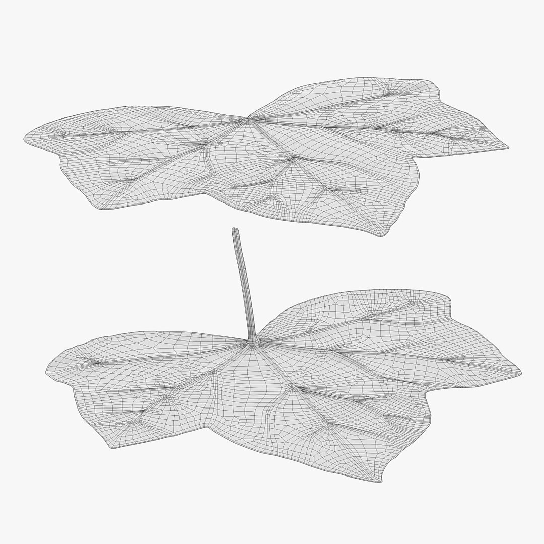 3D Model Ivy Leaf - TurboSquid 1305750