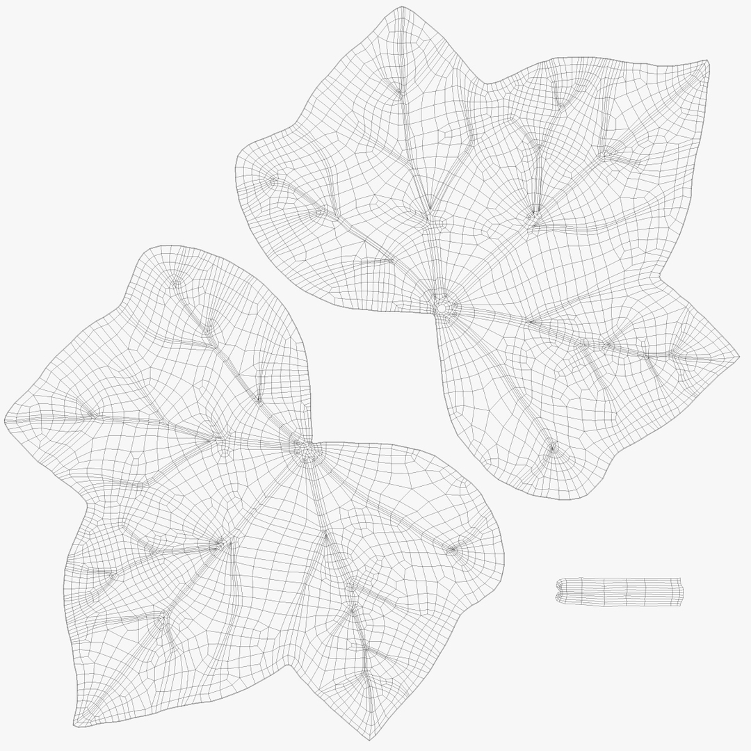 3D model ivy leaf - TurboSquid 1305750