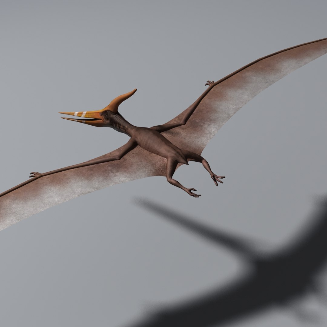 Pteranodon Pterosaur Max