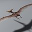 Pteranodon Pterosaur Max