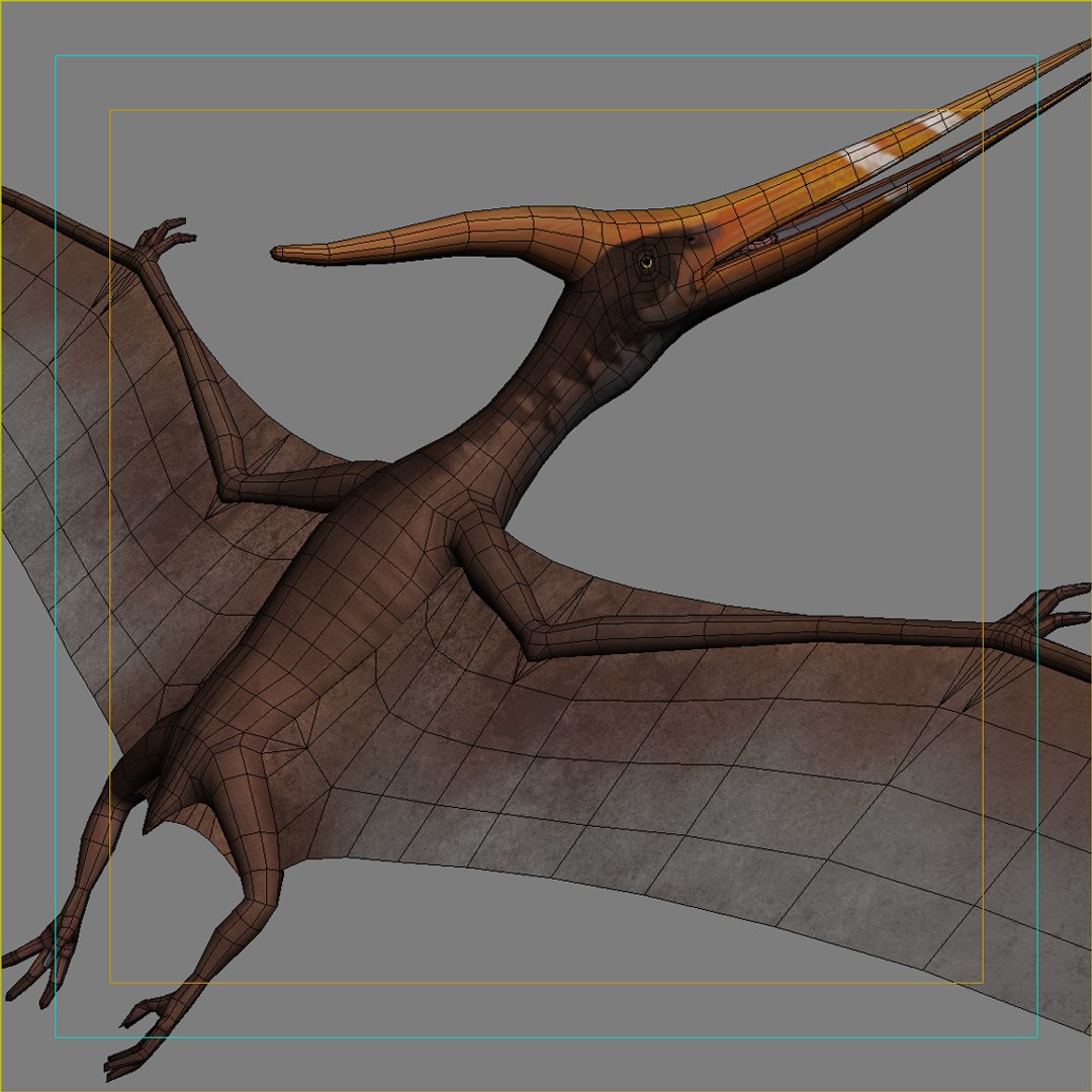Pteranodon Pterosaur Max