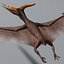 Pteranodon Pterosaur Max