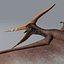 Pteranodon Pterosaur Max
