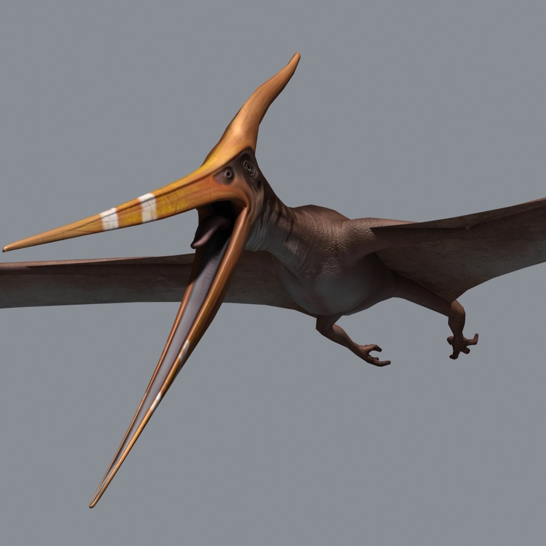 Pteranodon Pterosaur Max