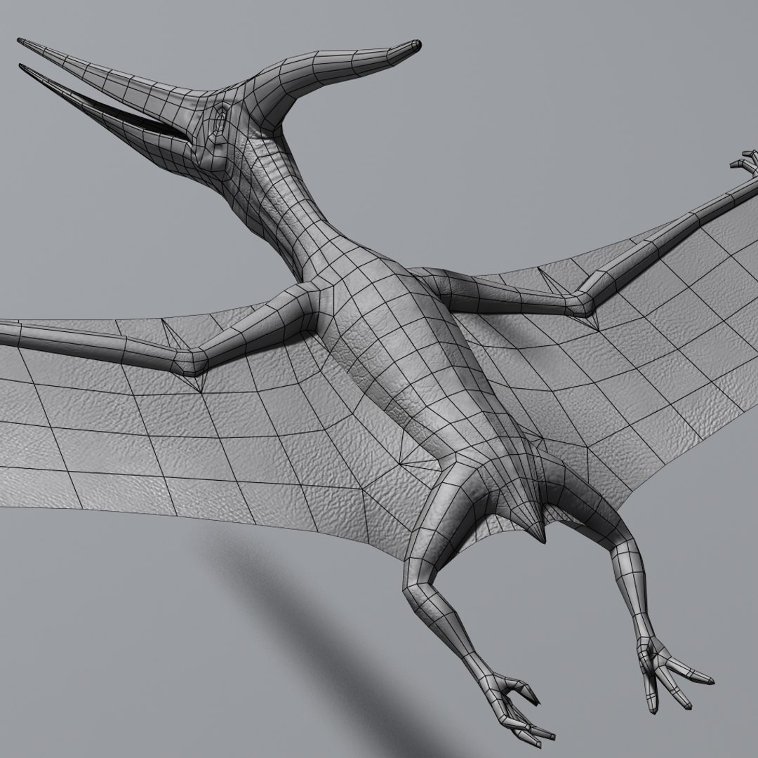 Pteranodon Pterosaur Max
