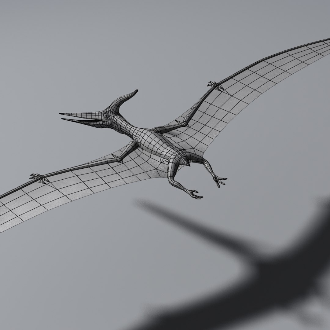 Pteranodon Pterosaur Max