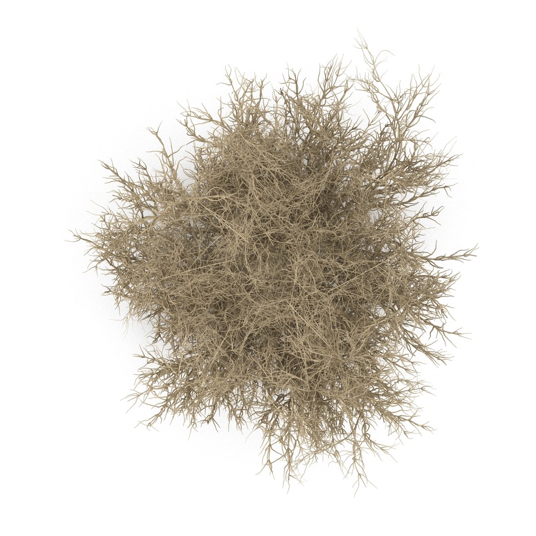 Tumbleweed Max