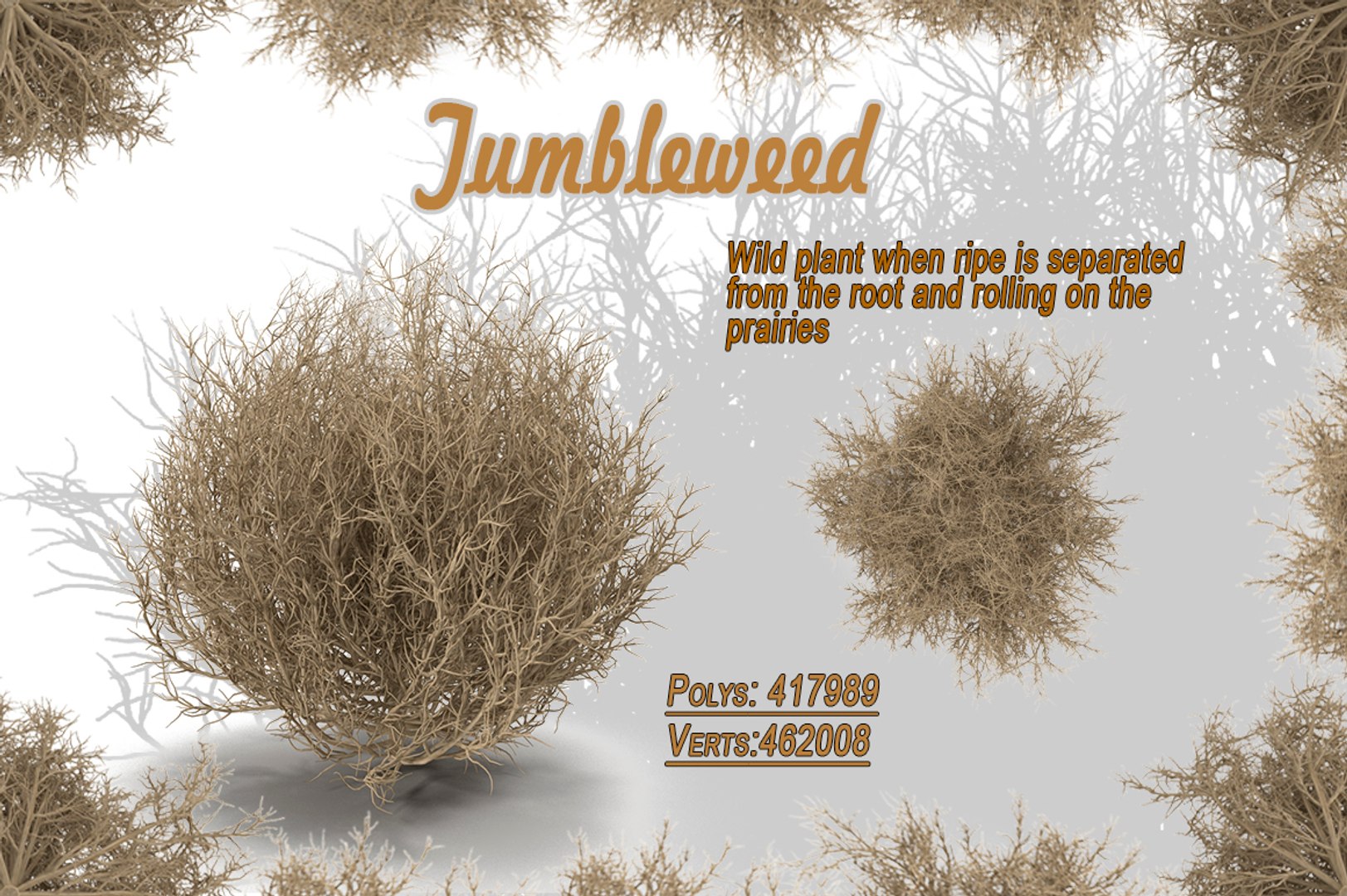 Tumbleweed Max