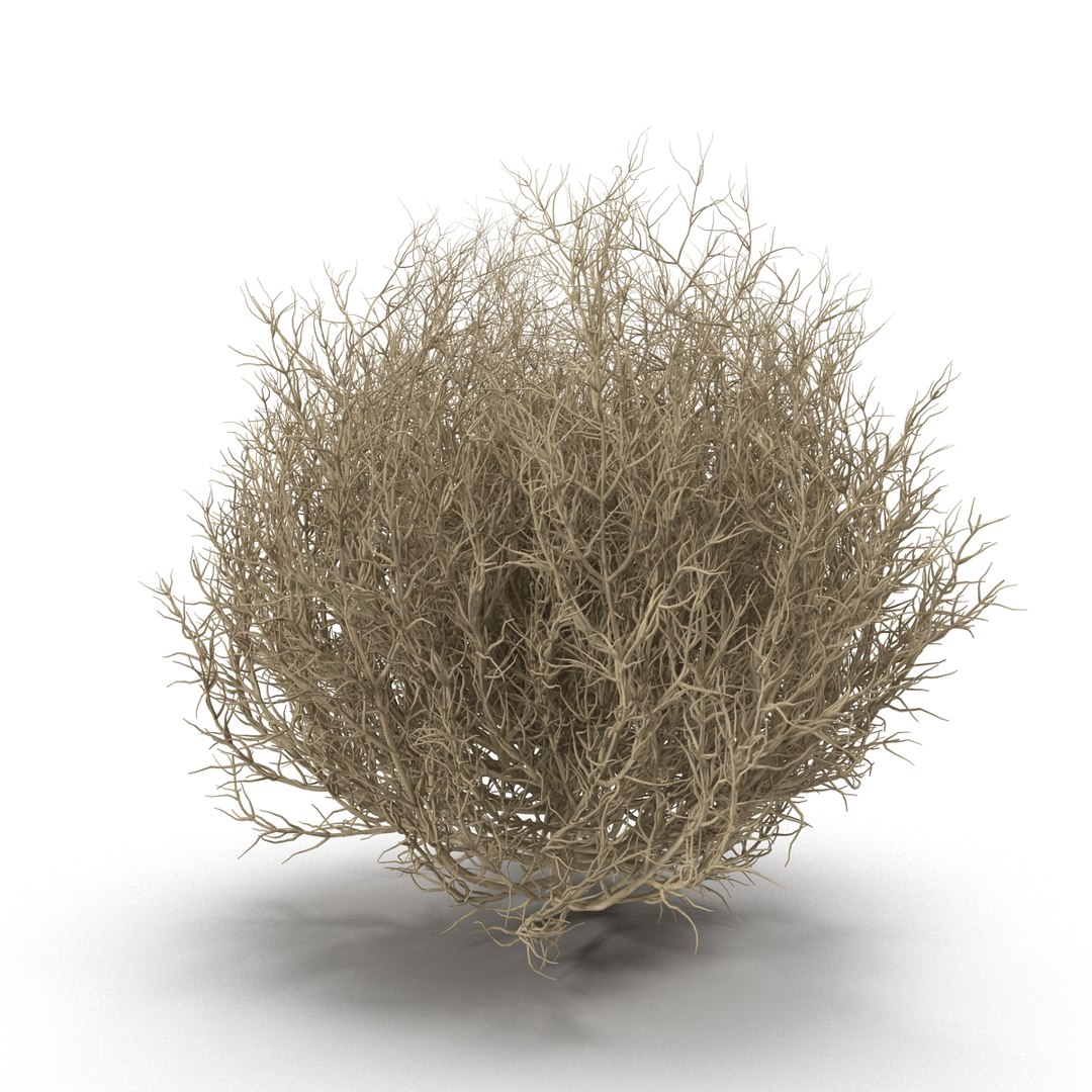 Tumbleweed Max