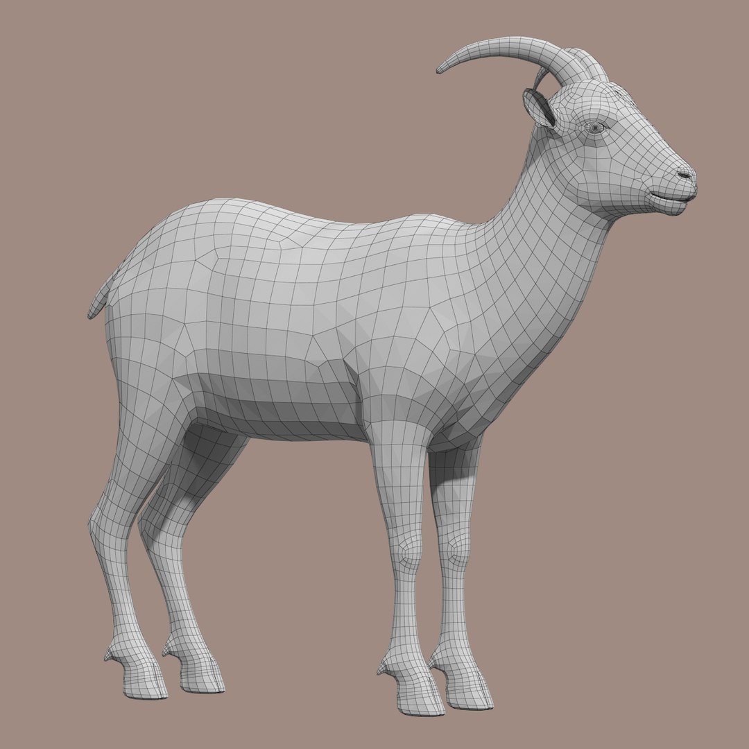 3d model of bighorn sheep female fur