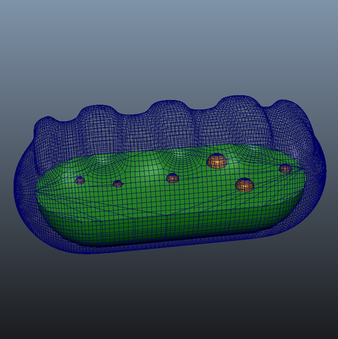 3d Model Mitochondria Biological Cell