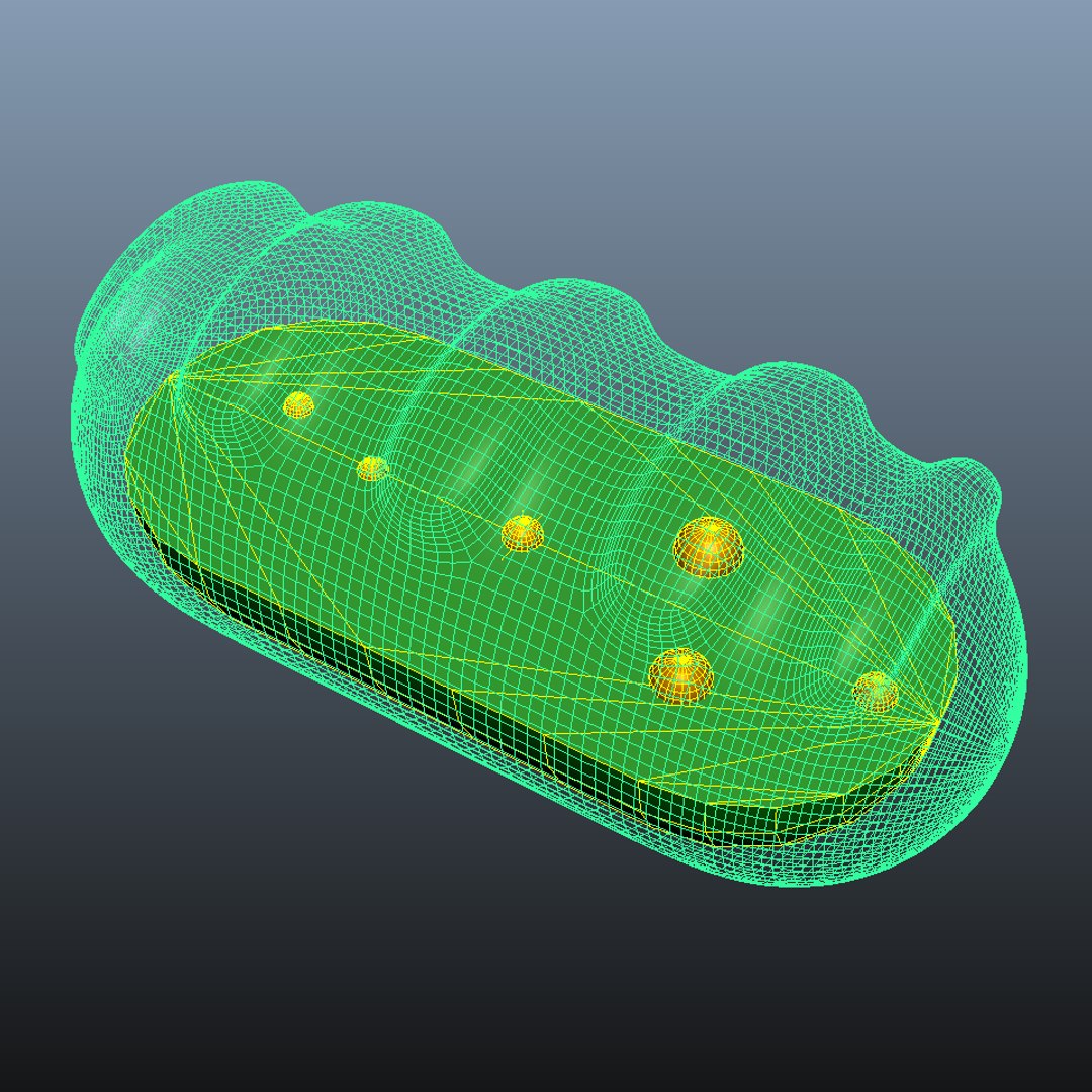 3d Model Mitochondria Biological Cell