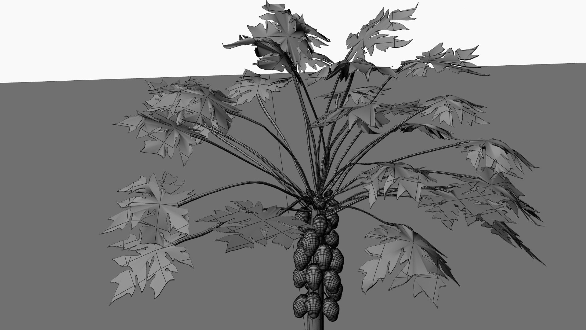 3D Papaya Tree Model - TurboSquid 1910547