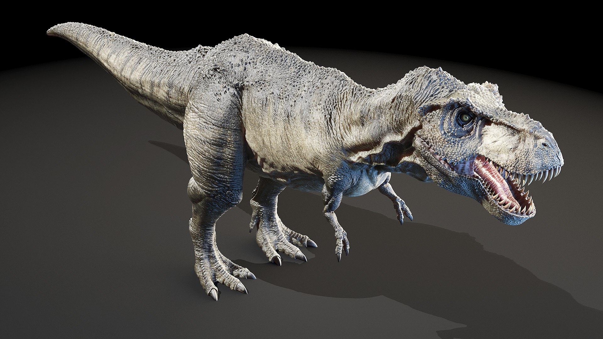 3D Tyrannosaurus Rex Model - TurboSquid 1576696