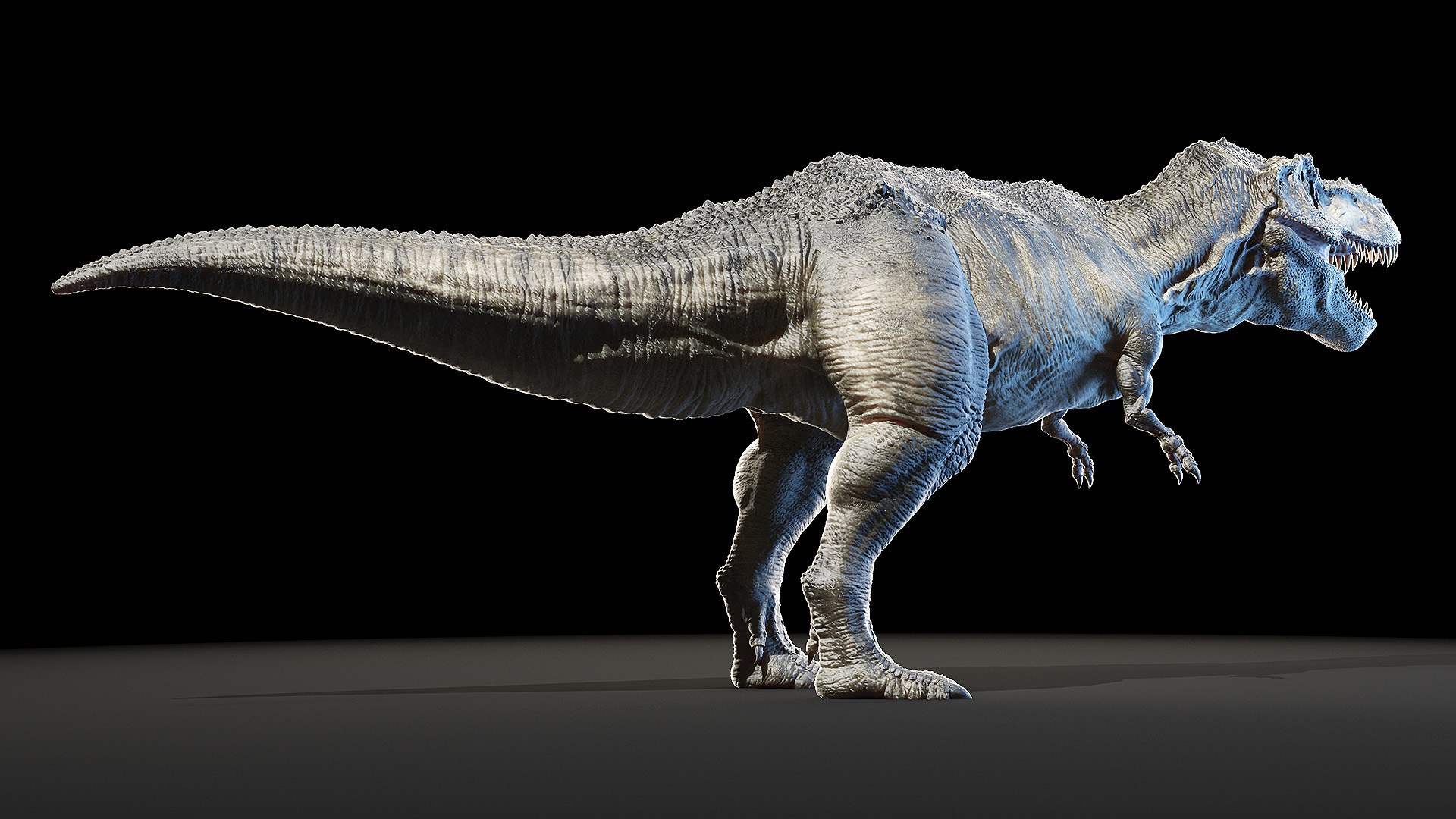 3D Tyrannosaurus Rex Model - TurboSquid 1576696