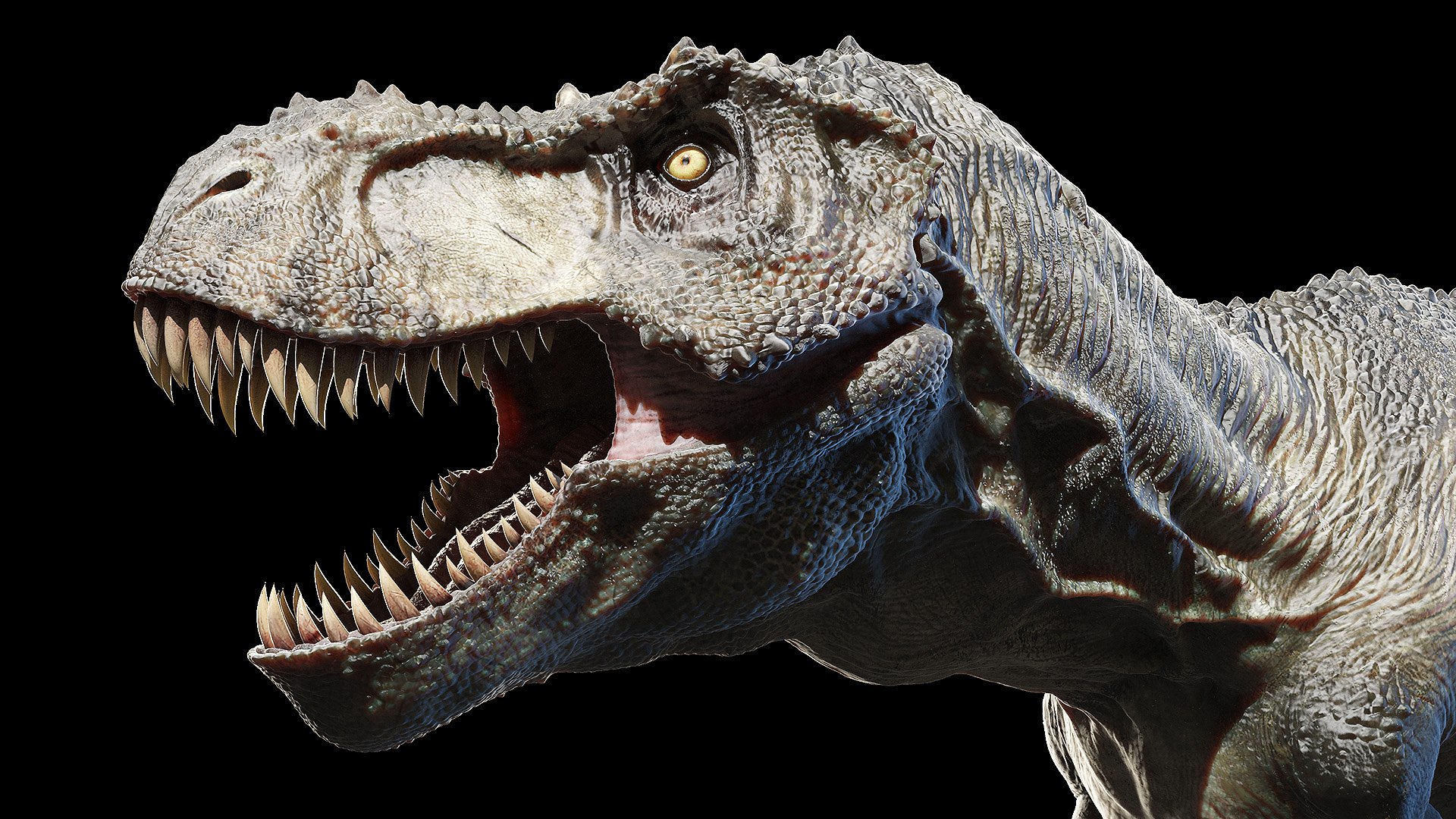 3D Tyrannosaurus Rex Model - TurboSquid 1576696