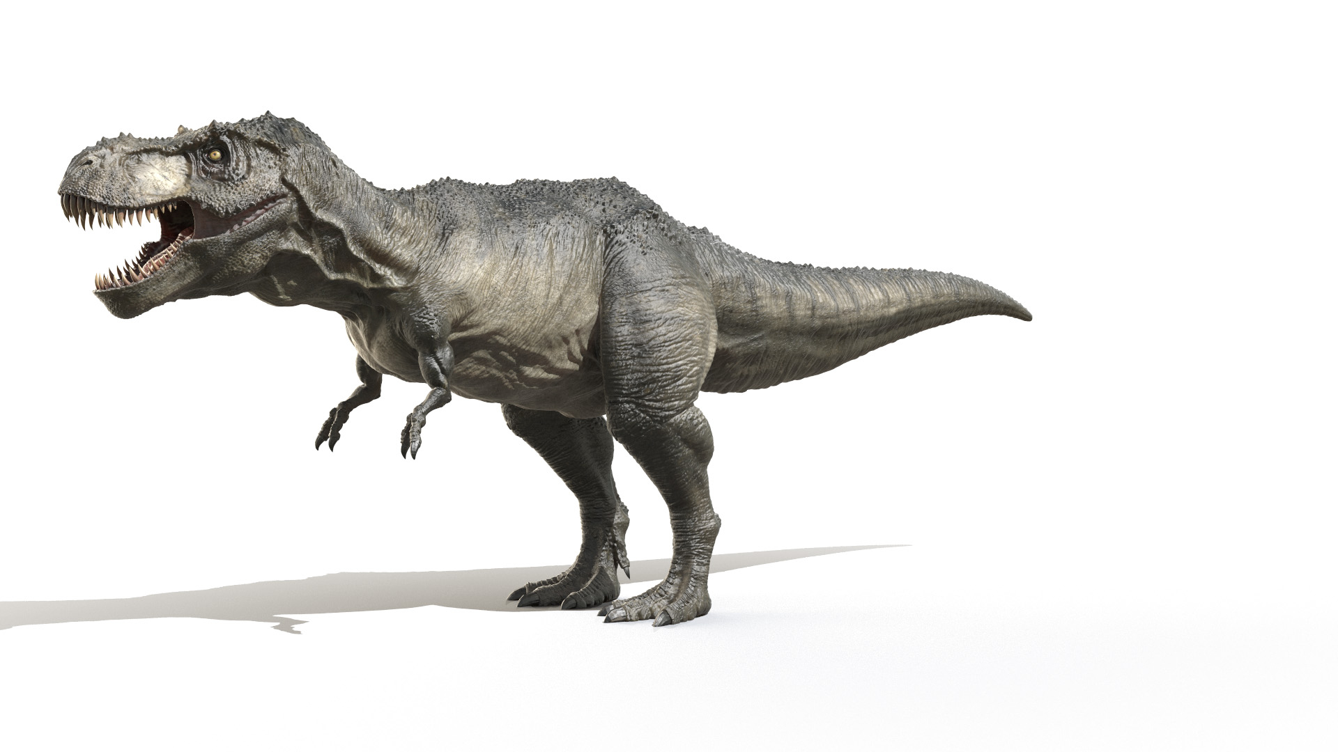 3D Tyrannosaurus Rex Model - TurboSquid 1576696