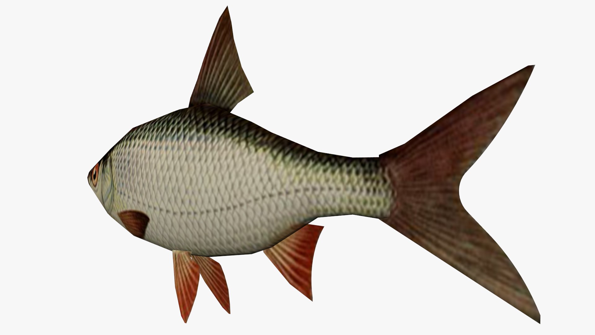 3ds Ready Realistic Fish